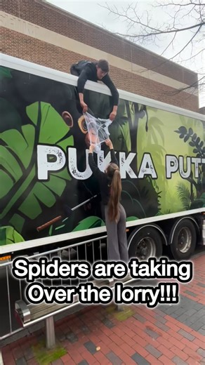 Halloweenifying the lorry mini golf course!! This place is scary!!! #minigolf #dreamcometrue❤️ #mobilebusiness | Josh Jones