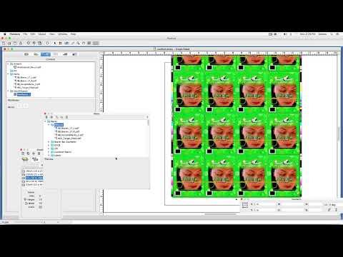 KODAK PANDORA Step and Repeat Software – Label Smart Layout