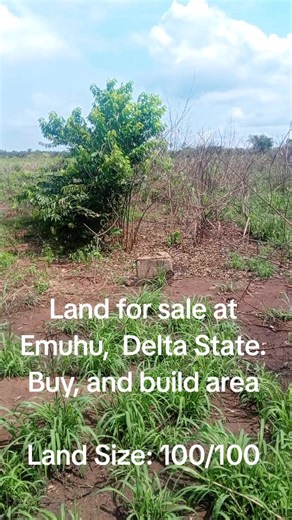 Land for sale at Emuhu, Delta State. Buy, and build area Land Size: 100/100 Dm/call/WhatsApp 08161421632 08129099386