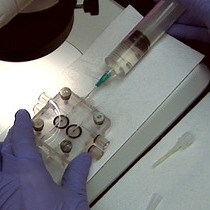 Video: Simultaneous ex vivo Functional Testing of Two Retinas by in vivo Electroretinogram System
