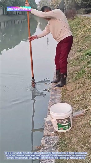 Harvesting Shellfish: A Day in the Life of a Fisherman