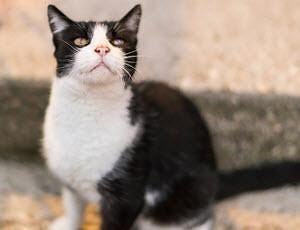 Nikon 58mm Lens Review | Expert photography blogs, tip, techniques, camera reviews - Adorama Learning Center