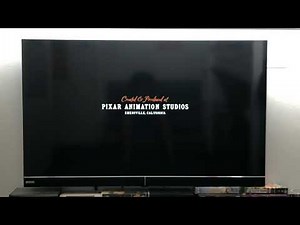 The Closing to Coco (2017) DVD