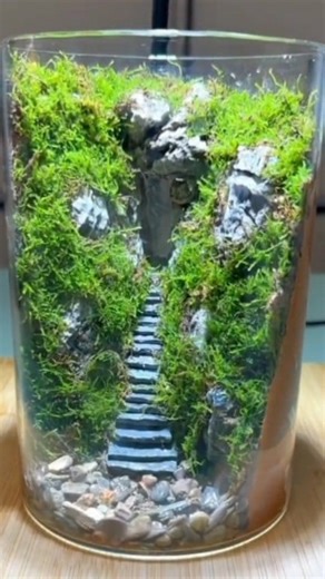 5.4K views · 60 reactions | Step into a tiny, enchanting world! This moss micro-landscape brings every delicate detail of nature to life, creating a miniature paradise you can get lost in. Perfect for nature lovers and DIY plant enthusiasts. #MicroLandscape #MossGarden #MiniatureWorld #TinyGarden #PlantArt #terrarium #naturelovers #GreenTherapy #MiniGarden #reelsviralシ #fbyシvideo | The ideas | Facebook
