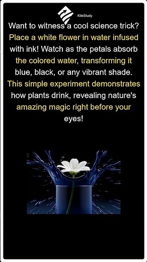 🤯 Change Flower Colors Instantly! | Amazing Science Hack