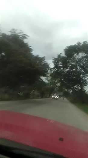 Videos de wwsx😘♥️🦋🦋🦋 (@wwsx82) con “sonido original - wwsx😘♥️🦋🦋🦋”