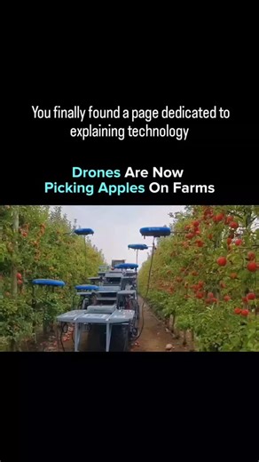 knowledge matrix on Instagram: "•Drones are now picking apples on farms. In Israel, agriculture meets automation as drones, AI, and big data transform traditional farming into a precise, data-driven system. From monitoring soil health to optimizing irrigation and forecasting yields, these tools are redefining how food is grown. . . •As climate change intensifies and global demand rises, this fusion of tech and agriculture could shape the future of food production. . . •Follow for daily breakthro