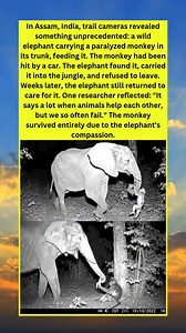 Spirit Talks on Reels