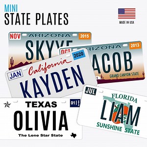 Mini State License Plate 3x6 - Etsy