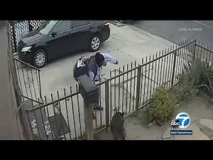 Mail carrier pepper sprays dog in front yard of L.A. home | ABC7