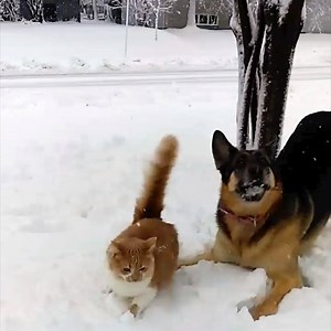 1.5M views · 956 reactions | Wait for it...  Via Daily Picks and Flicks | AOL | Facebook