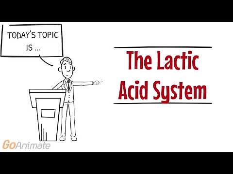 The Lactic Acid System