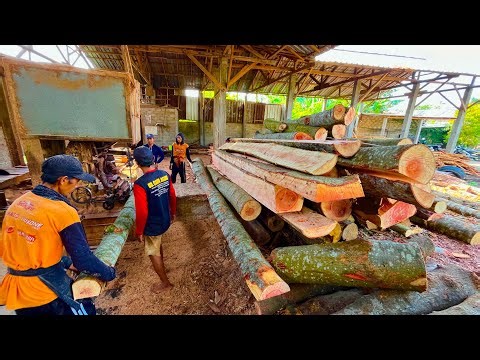 A Trembling Preparation! Watching an Operator Saw a 6-Meter Long Log