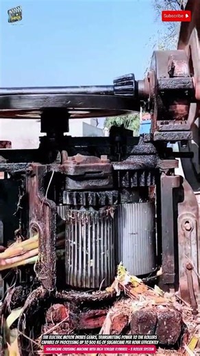 Sugarcane Crushing Machine with High Torque Flywheel – 3 Roller System