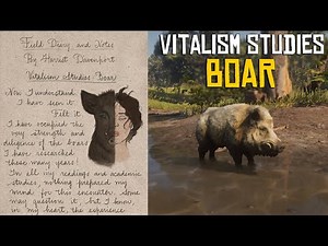 Vitalism Studies Pamphlet: Boar Location - Boar Vitalism Gameplay (RDR2)