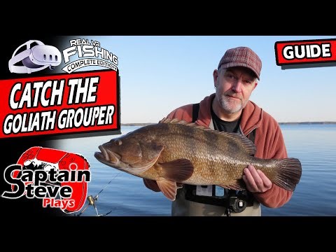 Real VR Fishing - How To Catch The Goliath Grouper - Level 16 and Above Fish