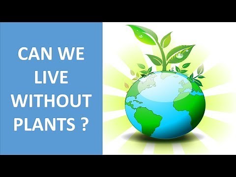 IMPORTANCE OF PLANTS IN OUR LIFE || USES OF PLANTS || CAN WE LIVE WITHOUT PLANTS? || SCIENCE VIDEO
