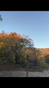 What are you doing here?? 🦜#reels #wow #la #parrot | Hack or Wack