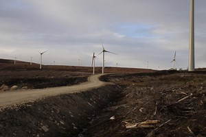 Wind farm construction: good practice