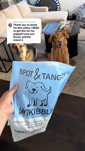 Take 50% OFF your first trial Personalized Plan for Your Pup! :🥩 Whole food ingredients ✨ Costs 40% less than frozen fresh 🌱 Fresh without the fridge 👩‍⚕️ Vet-developed & nutritionally complete 📦 Delivered to your door 🐾 Loved by picky eaters (and their humans) Made in the USA. Crafted in Allentown, PA. -- UnKibble gives your dog the nutrition of fresh food—without the fridge, prep, or price tag. No thawing, no scooping, no weird ingredients. Just real food, perfectly portioned, and ready w