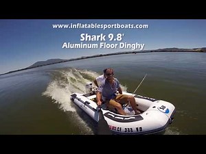 Inflatable Sport Boats - Shark 9.8' - Dinghy