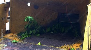 Loading wood chipper with tree branches for shredding in slow motion