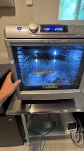 5 ways to preserve garlic 🧄