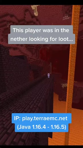 Join the Towny server today and build your dream town!!! Server IP: play.terraemc.net #fyp #minecraft #minecraftmemes