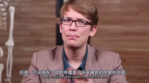 【中英】#3快速带你走进医学生的世界--解剖和生理--组织类型二Anatomy&Physiology Crash Course