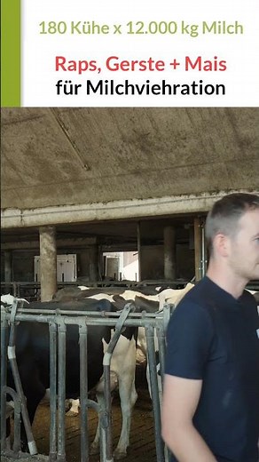 Milchviehration: Die 3 wichtigsten Kraftfutterkomponenten für die Kühe #milchviehberatung #milchvieh