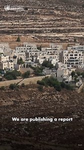 6.7K views · 186 reactions | Israel’s human rights violations against the Palestinian population must cease immediately. The new UN Human Rights report highlights the dramatic increase in the intensity, severity & regularity of Israeli settler and state violence against Palestinians. | United Nations Human Rights | Facebook