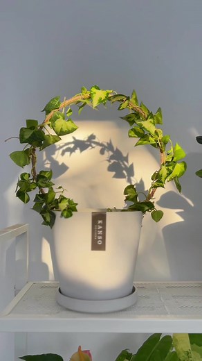 Kanso Designs on TikTok