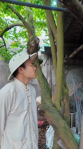 52K views · 601 reactions | Khó #daoxuandien Toàn Phát Computer | Đào Xuân Diện | Facebook