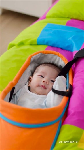 🧸 Cute Mexica Plush Dancing Cactus Electric Plush Toy 🧸🧸