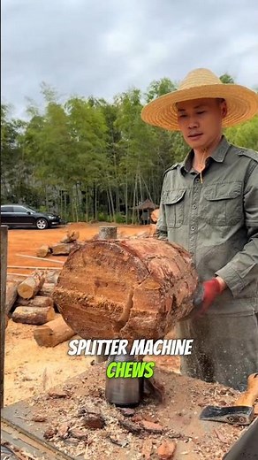 This Screw Log Splitter is INSANE!