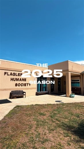 2025 was a year of hope, healing, and second chances at Flagler Humane Society. As this year comes to a close, we’re reflecting on what we accomplished together: ✨ Over 2,200 animals' lives changed by finding them loving forever homes! ✨ Nearly 600 heartfelt reunions of lost pets with their owners! None of this happens without you. Every rescue, every reunion, every happy ending is powered by our incredible community. Your compassion fuels the lifesaving work we do every single day. To everyone 