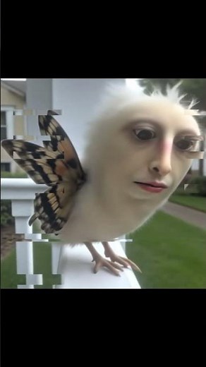 JON MUD EDIT (I only use my first name in .y username as a watermark) #gsap #ammojs #htmleditor #s