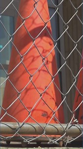 Morgan County Courthouse closure extends amid renovation delays