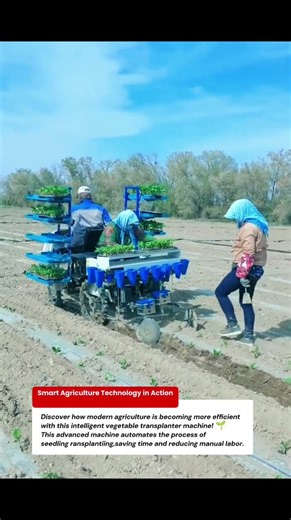 Modern Vegetable Transplanter Machine | Smart Farming Technology for Seedling Planting🚜🌱
