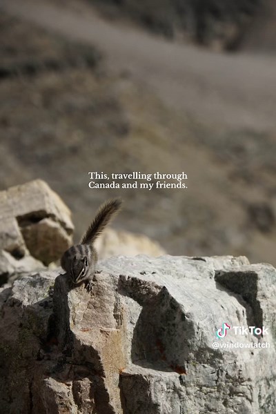 Medicine for the soul #canada #banff #yoho #hiking #CapCut