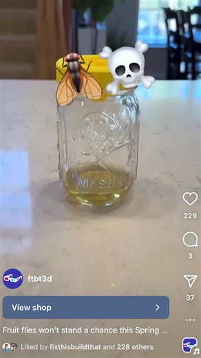 What started out as a fun TikTok post turned into a little side hustle when our Mason Jar Fruit Fly Catcher Lids went viral. It’s crazy how one post can set a whole chain of events and even a new business in motion. Thankfully we used @Shopify already and spooling up a new online store only took a couple of hours and we were off to the races selling our new products. Moral of the story, if you see an opportunity, grab it and run. You never know what might happen! #ad #shopifypartner