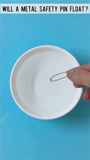 Floating Safety Pin Trick – Surface Tension Experiment l Simple Physics Experiment