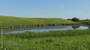 Scenic Video of a Beautiful Swamp Slough with Tall Cattail Reeds and Blue Water – Serene Wetland Landscape and Tranquil Marsh with Lush Vegetation and Aquatic Plants
