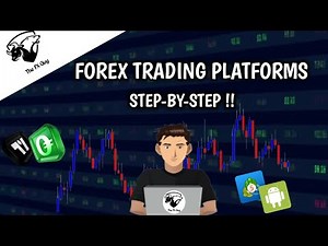 Forex Trading (Top 5 Platforms) You Should Know As a Beginner | Explained
