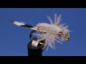 CDC Transitional Midge