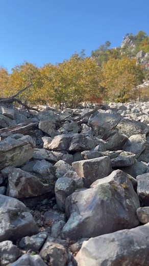 2.4K views · 55 reactions | Bush hiking on Forked Mountain, at the rocky base of the final climb. | Arkansas Outdoors | Facebook