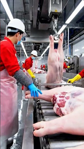 Inside a Modern Advanced Pig Slaughterhouse: A Clean and Efficient Process 👀