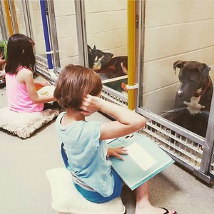9.2M views · 2.7K reactions | The 'Shelter Buddies' program helps kids improve their reading skills while making the dogs more socially comfortable around humans  | In The Know | Facebook