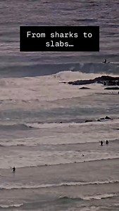 Snapper Rocks has had an eventful 24 hours. From yesterday’s massive bait ball and shark feeding frenzy to today’s behind-the-rock drainer with @josh_kerr84 | Surfline.AU