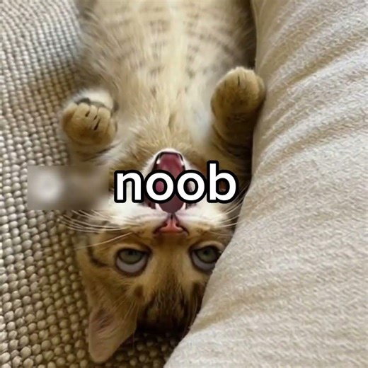 Hacker 🥶🤧🔥 #shortsviral #shortvideos #shirts #amnewbutnottheleast #funny #butifyoucloseyoureyes